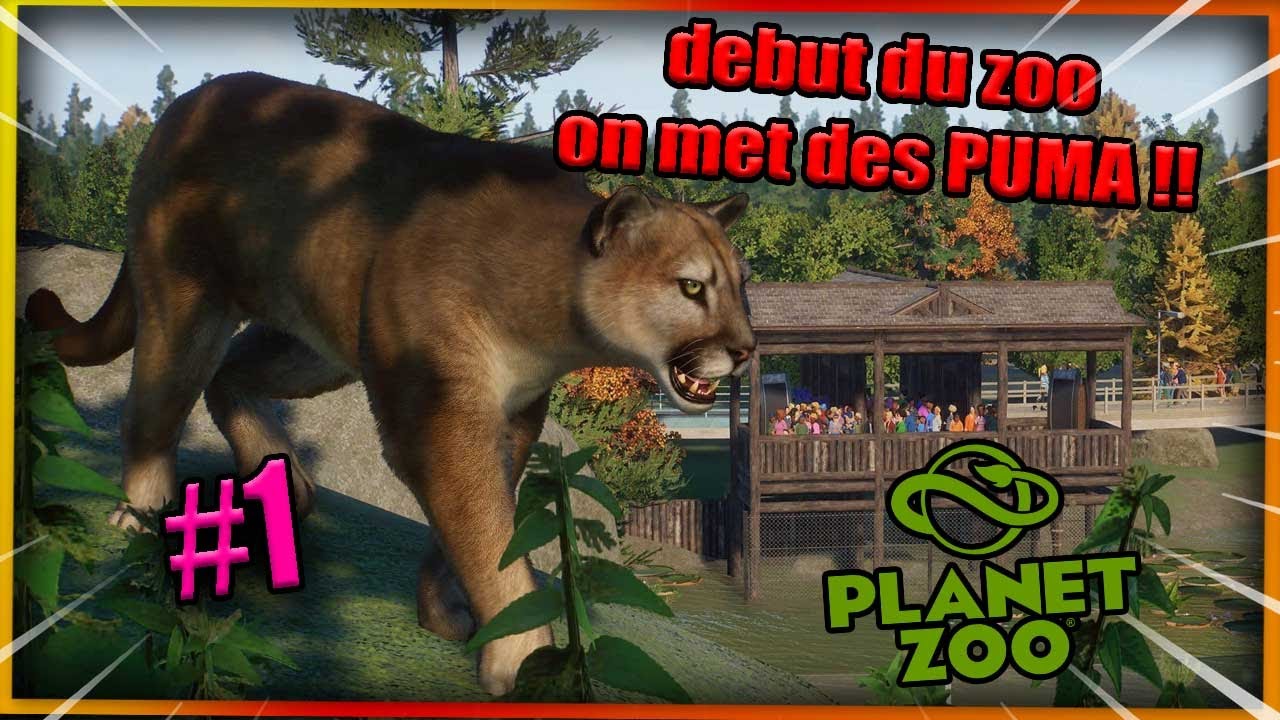 planet zoo! on commence notre zoo avec des puma !! let's play #1 - YouTube