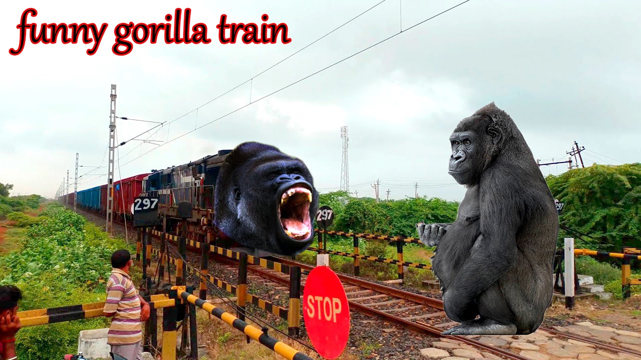 funny gorilla train - train - Indian railways - train ka video ...