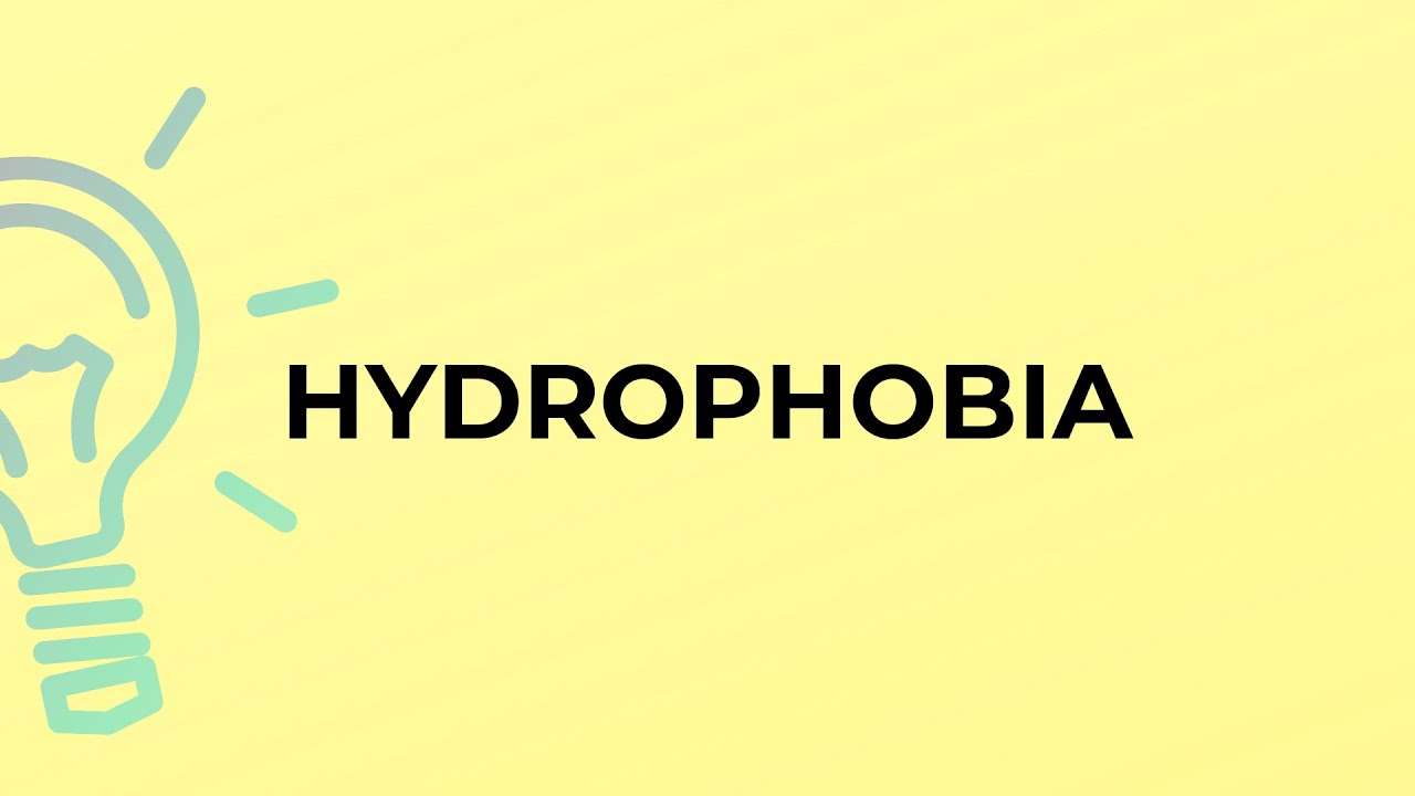 What is the meaning of the word HYDROPHOBIA? - YouTube