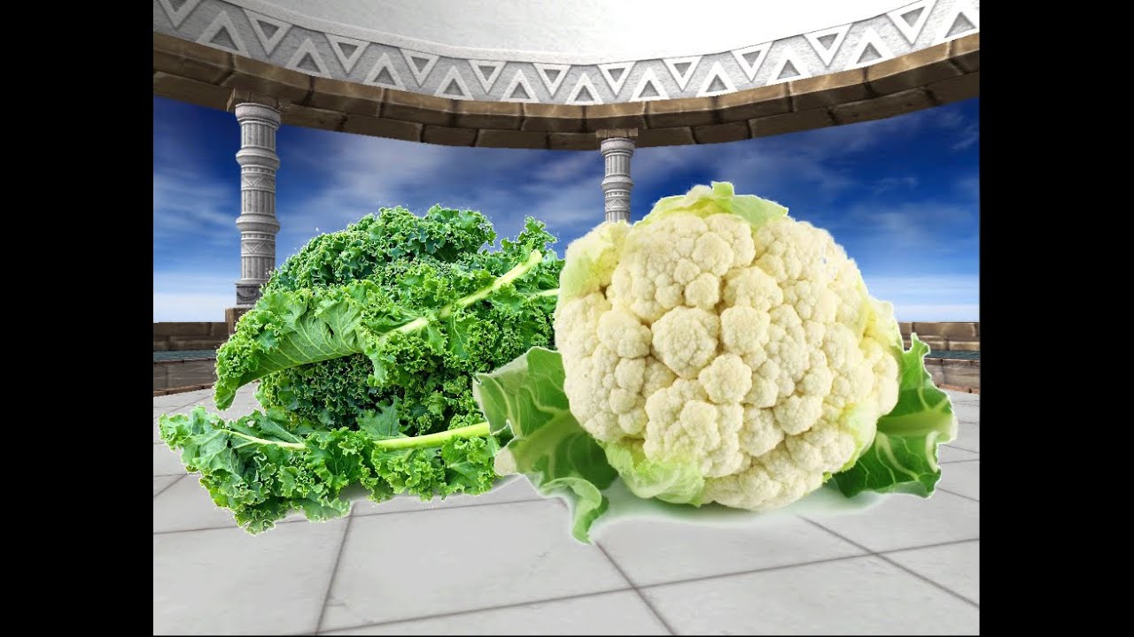 [NEW Model] Col-rizada + Coliflor = Kefla - Tenkaichi 3 Wii - YouTube