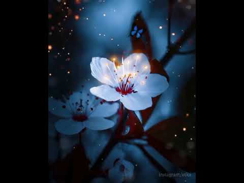 Evgeny Grinko - Field , Enstrümantal Fon Müzik