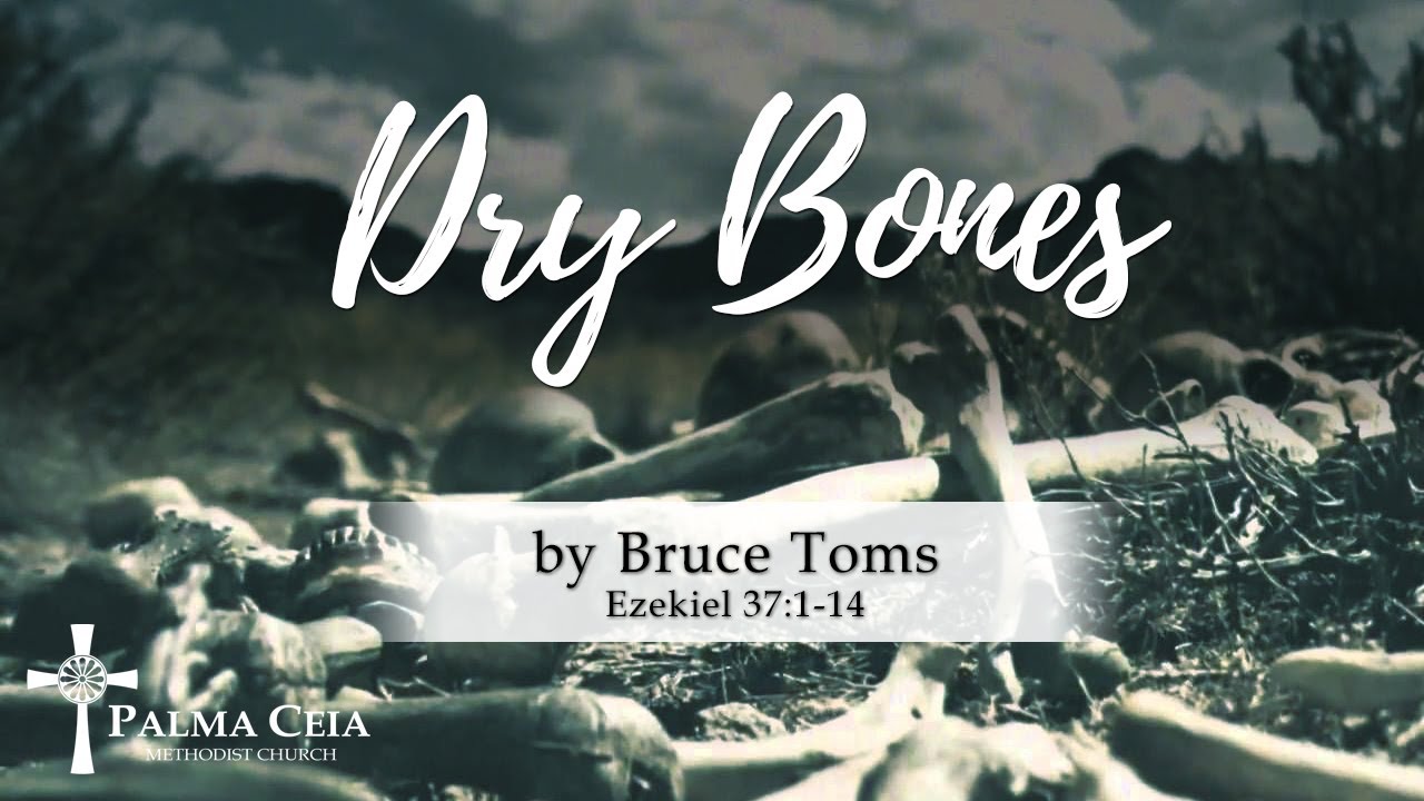 "Dry Bones" | Sermons Online | May 26, 2024 - YouTube