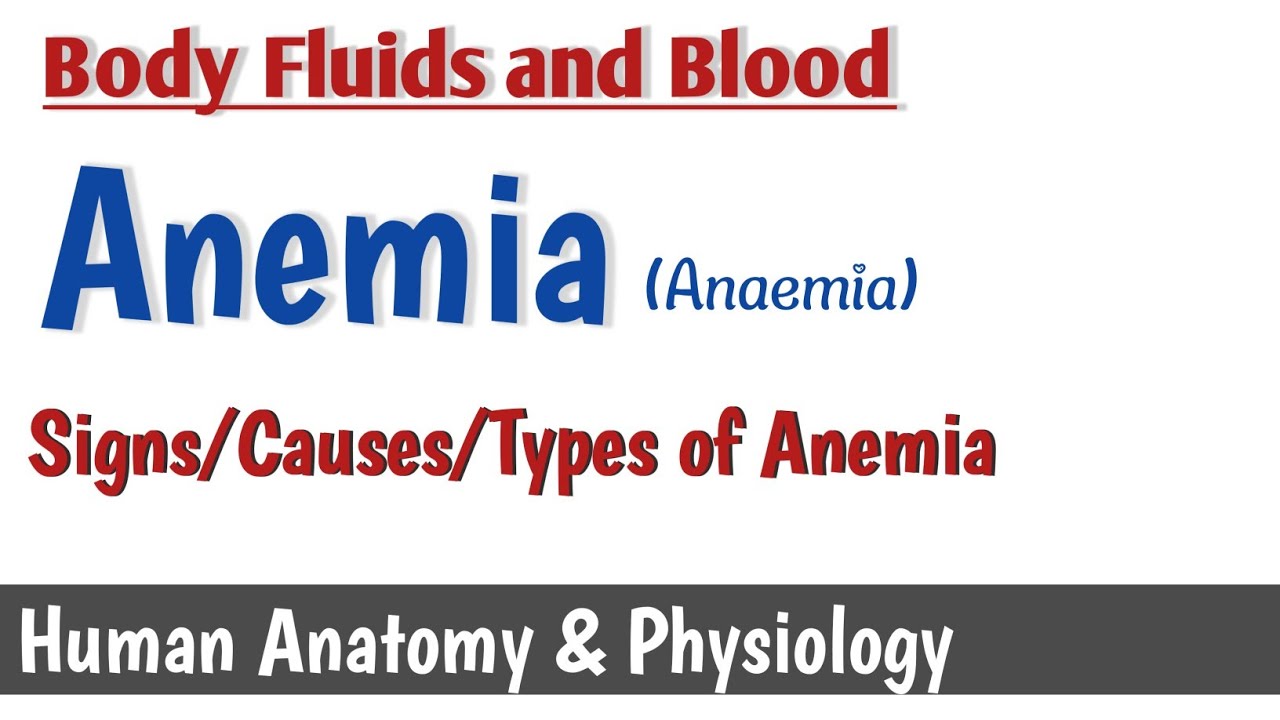 Anemia | Signs and Causes of Anemia | Types of Anemia | Unit-3 | B ...
