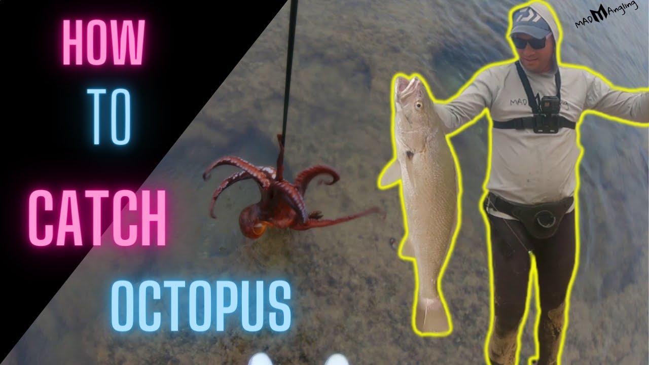 Witsands Kabeljou ( how to catch octopus for bait ) - YouTube