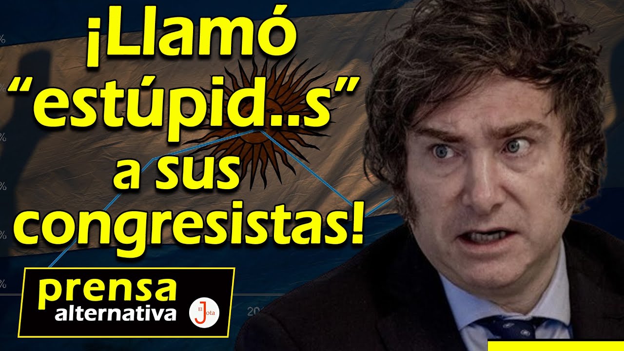 Milei sigue llorando por el fracaso de su Decreto! - YouTube
