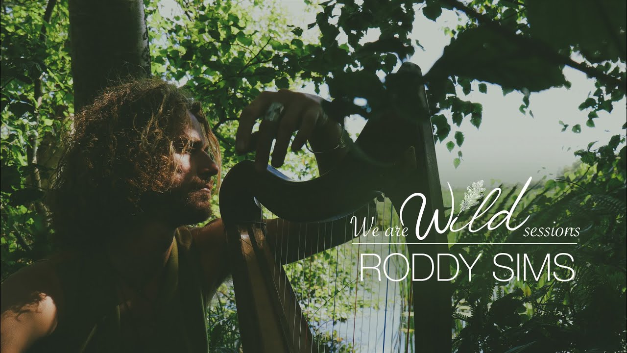 Roddy the Wisp 'Let a Tear Fall' | We Are Wild Sessions | Ep 19 - YouTube