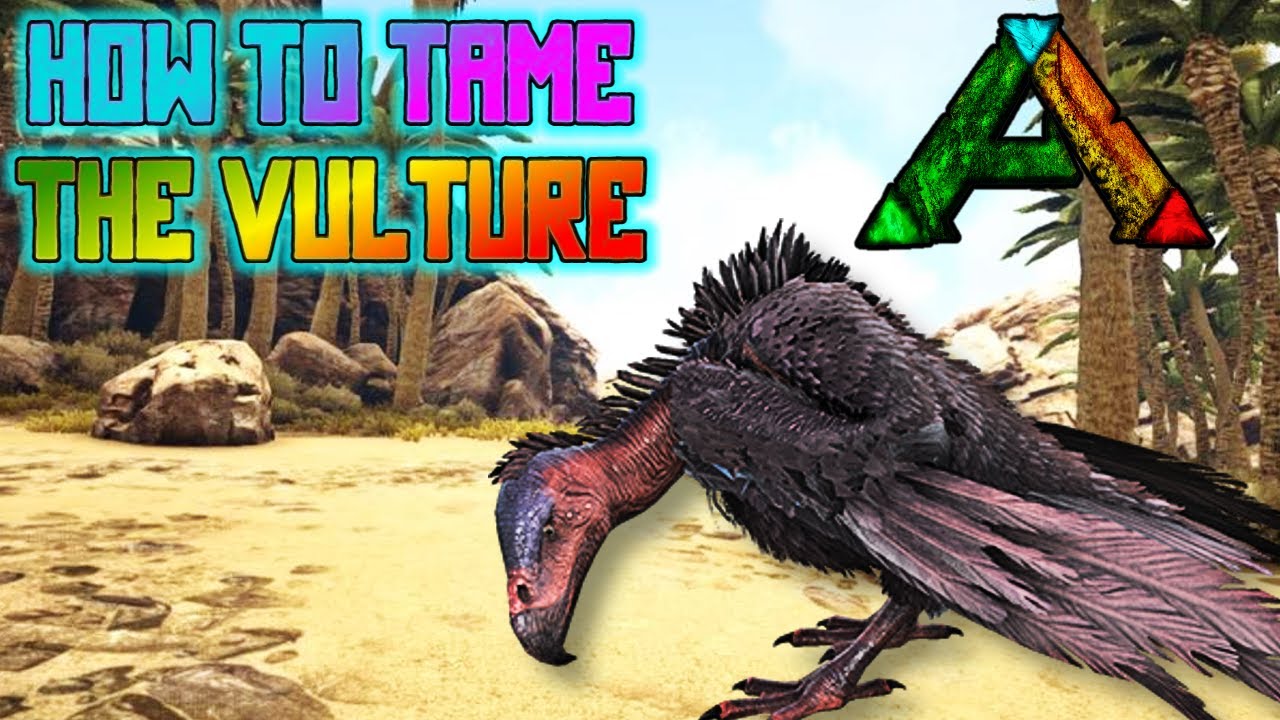 Ark Survival Evolved: Vulture Taming Guide in 2023 - YouTube