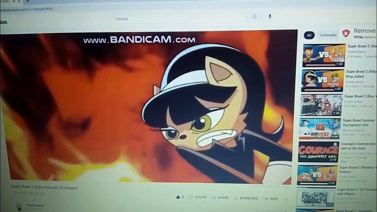 Super Brawl 2 Kitty Katswell Vs Skipper Youtube