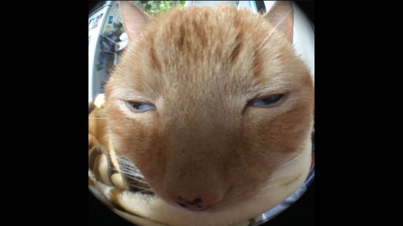 lemme get a uhh - YouTube