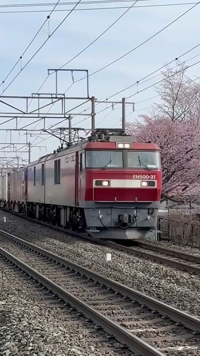 🌸EH500-31 金太郎 2025/4/22 #eh500 - YouTube