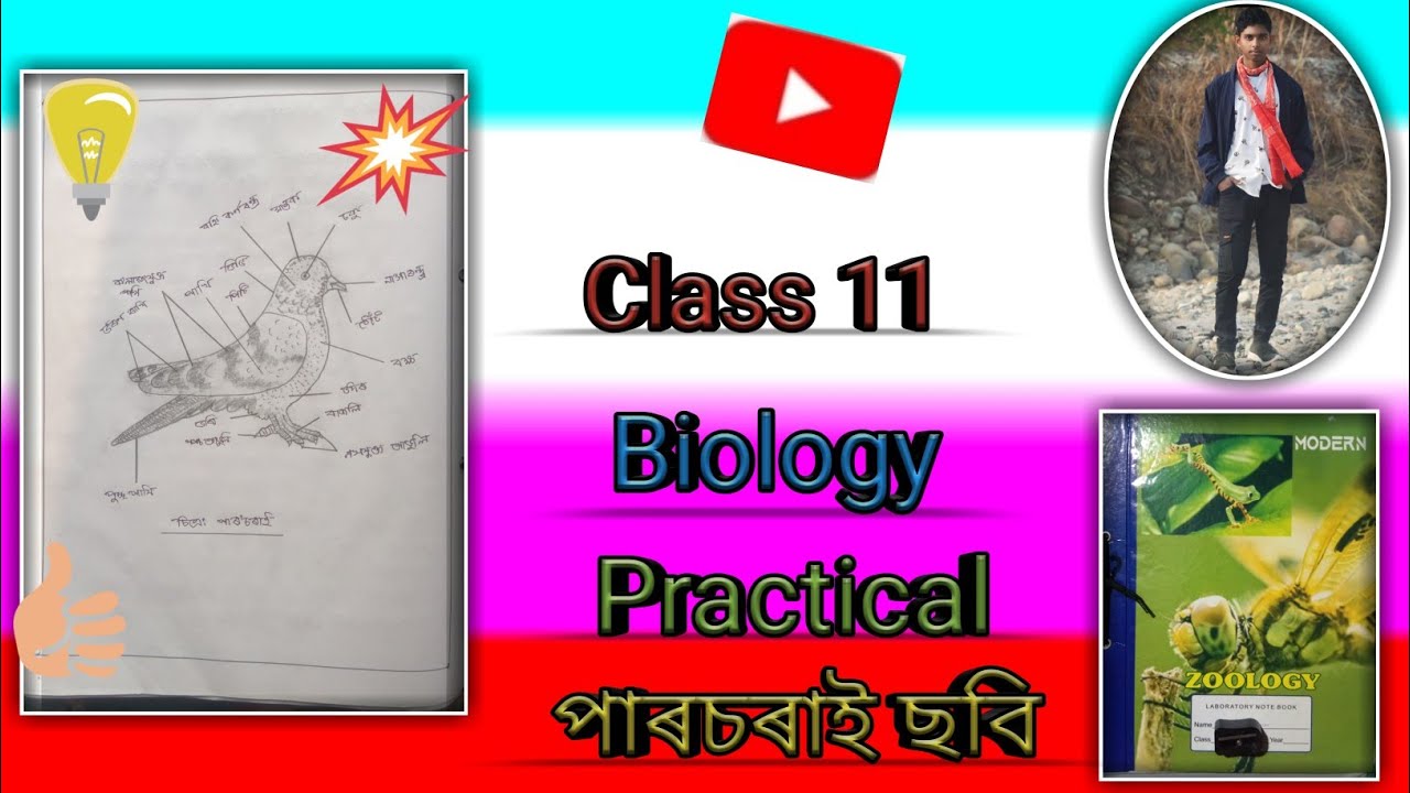 Class 11 Biology practical (zoology) জোক picture - YouTube
