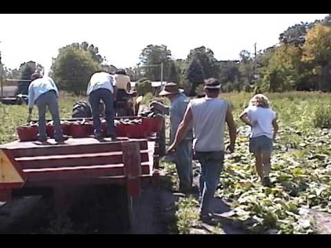 Ralph Works Hard - YouTube