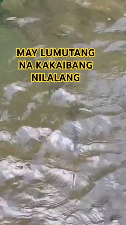BIGLANG NAGLAHO ANG NILALANG SA TUBIG #philippines #adventure - YouTube