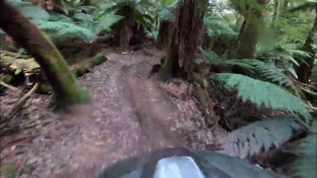 Enduro World Cup Maydena - Stage 2 - YouTube