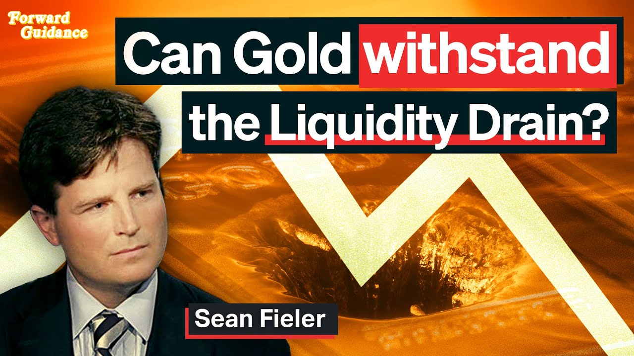 Can Gold Withstand the Liquidity Drain? | Sean Fieler - YouTube