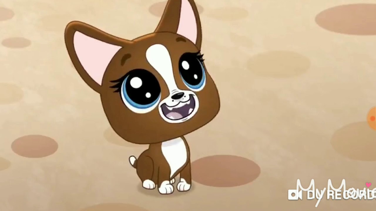 Jade catkin & Roxie: LPS - YouTube