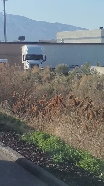 🛑 Avoid hitting fixed objects #longhaultrucker #truckdriver #trucking #trucker #truckingproblems ...