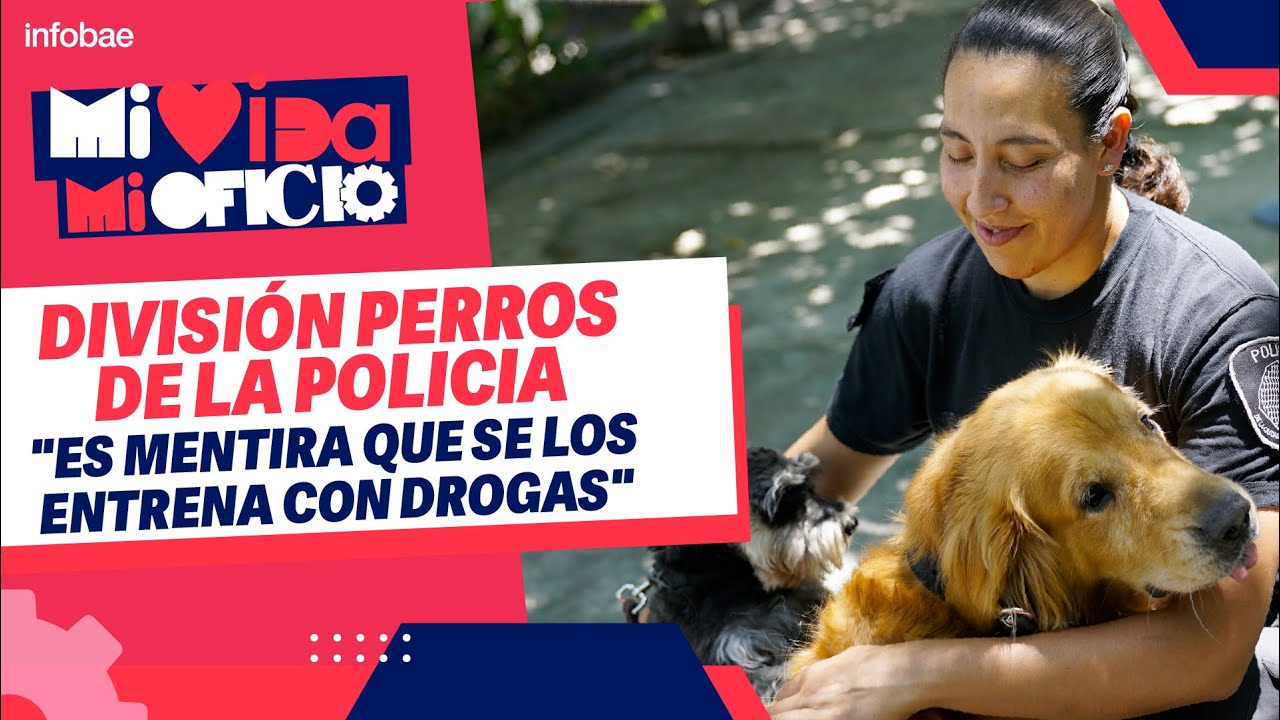 Cómo se entrenan los perros que detectan drogas o buscan sobrevivientes ...