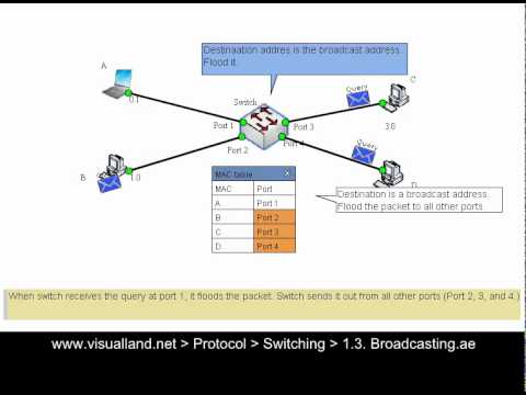 Switch: 1.3. How to switch broadcasting packets? [for begineers] - YouTube