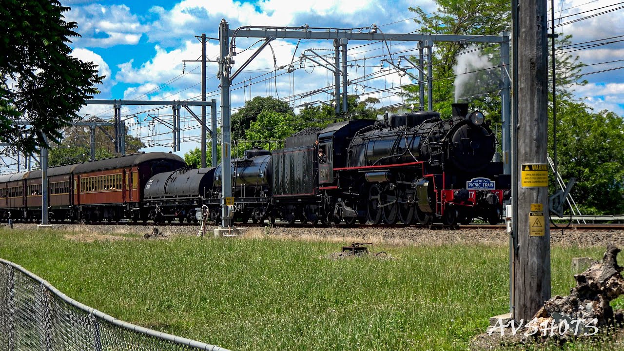 Australian 5917 Steam Locomotive and 4903 Picnic Train Passing Emu ...