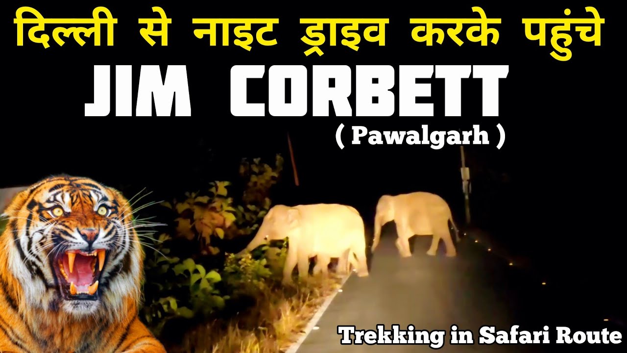 Jim Corbett | दिल्ली से नाइट ड्राइव करके पहुंचे | Trekking In Safari ...