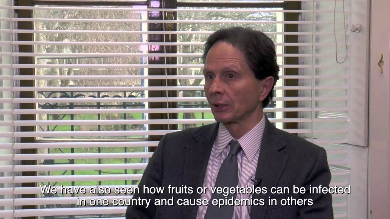 Dr David Heymann discusses infectious diseases - YouTube