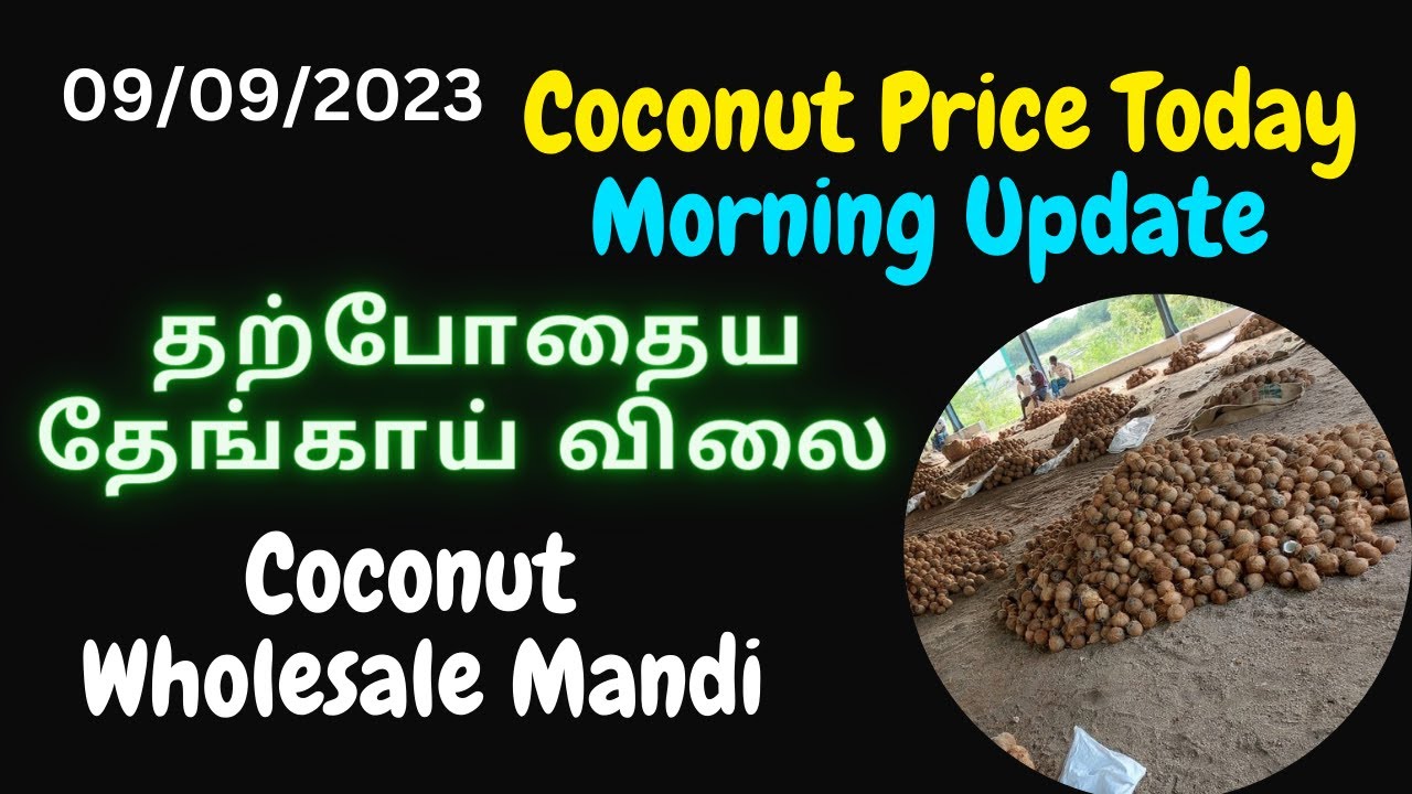 Planning Your Coconut Procurement Wholesale Mandi Pricing | தேங்காய் ...