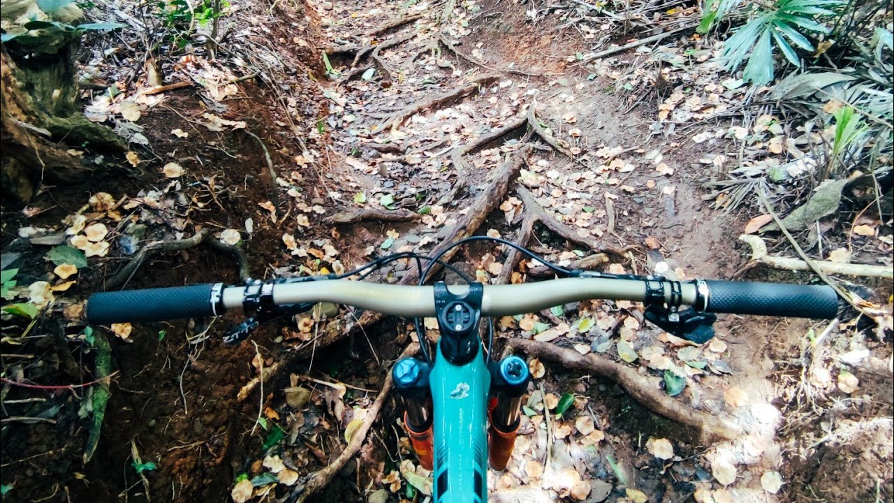 Sipit Trail Mt. Makiling - YouTube