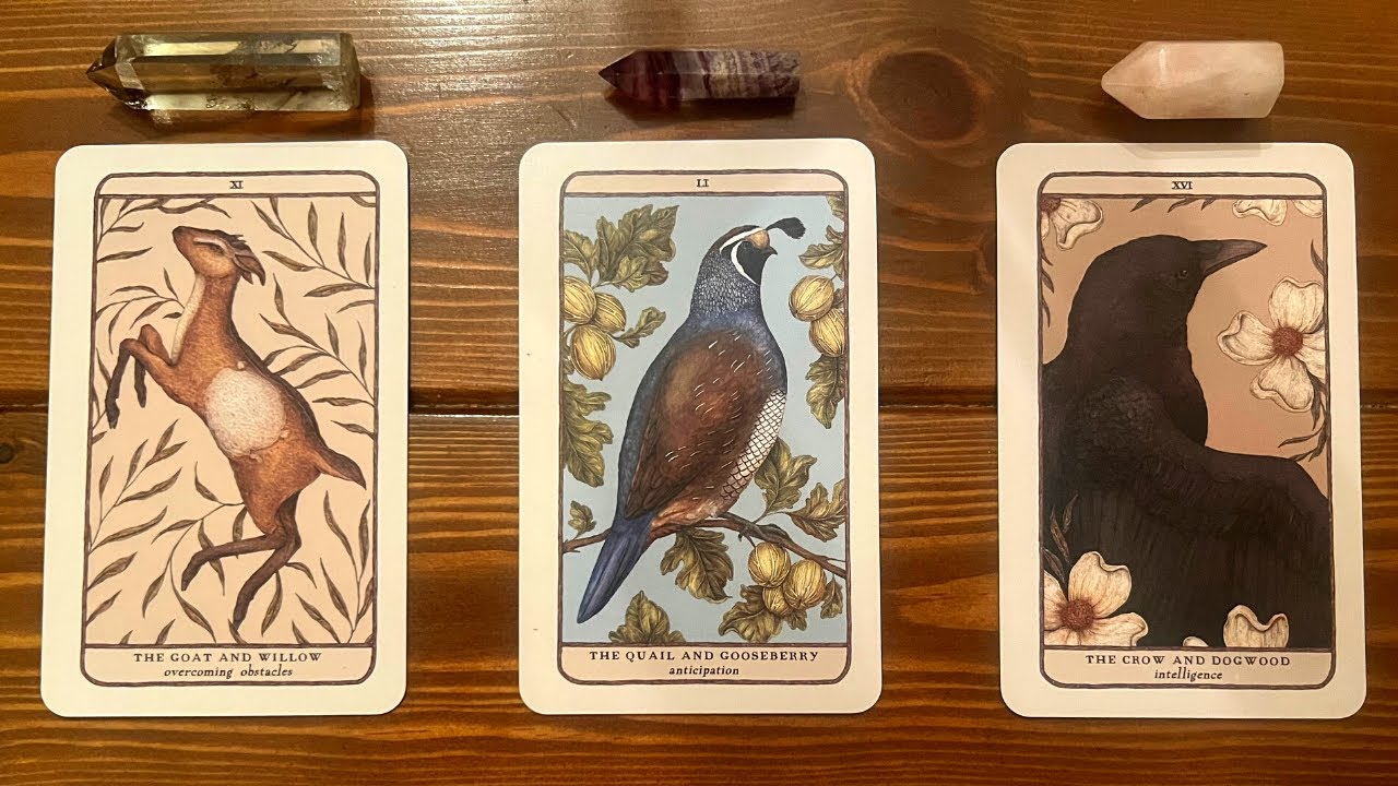 How does your surrounding see you TRANSFORMING? 😯😊🔆 | Pick a card - YouTube