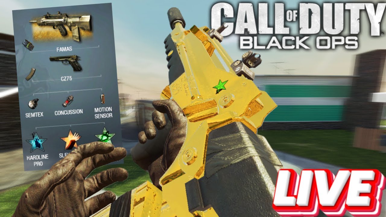 Black Ops 1 Multiplayer Road To Gold Cammo 2024 COD BO1 2024 - YouTube