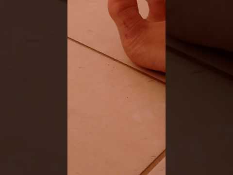 A HISTÓRIA DA SURUBA!!!!!