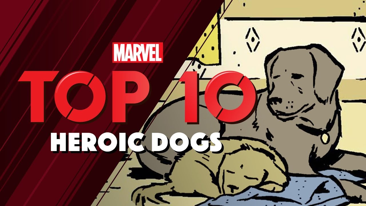 Heroic Dogs | Marvel Top 10 - YouTube