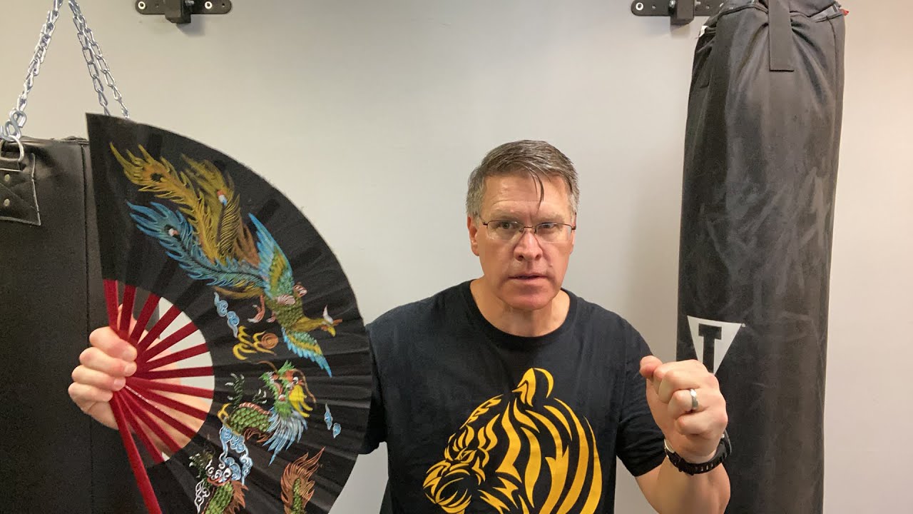 Fighting With Sticks - Kung Fu Fan Ninjitsu Tessen - Lethal or ...