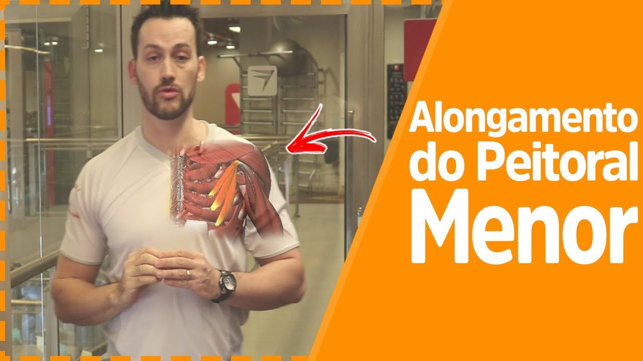 Alongamento para melhorar a sua postura - Peitoral menor - Fisioprev ...
