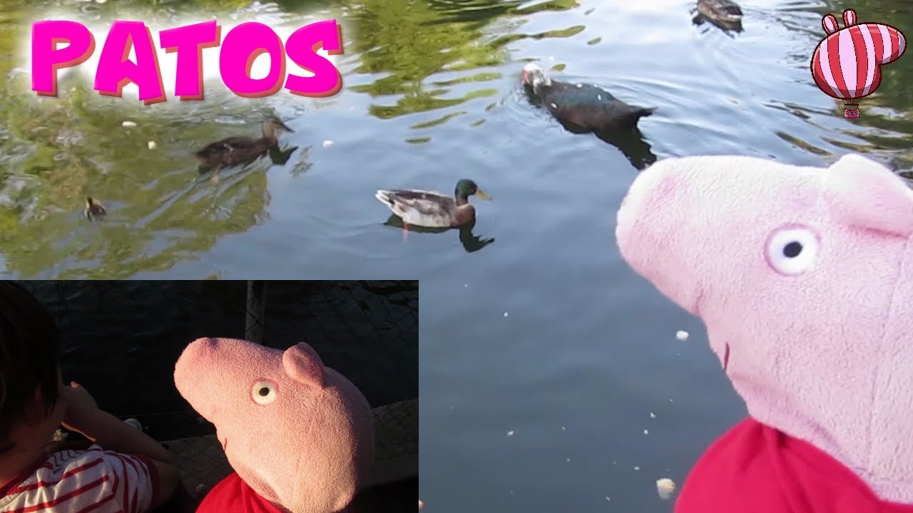 Peppa Pig y BEBÉ HUMANO dan de comer pan a los patos | Vídeos de Peppa ...