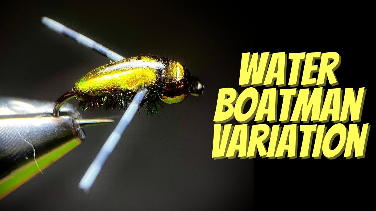Fly Tying Tutorial | Water Boatman Pattern - YouTube