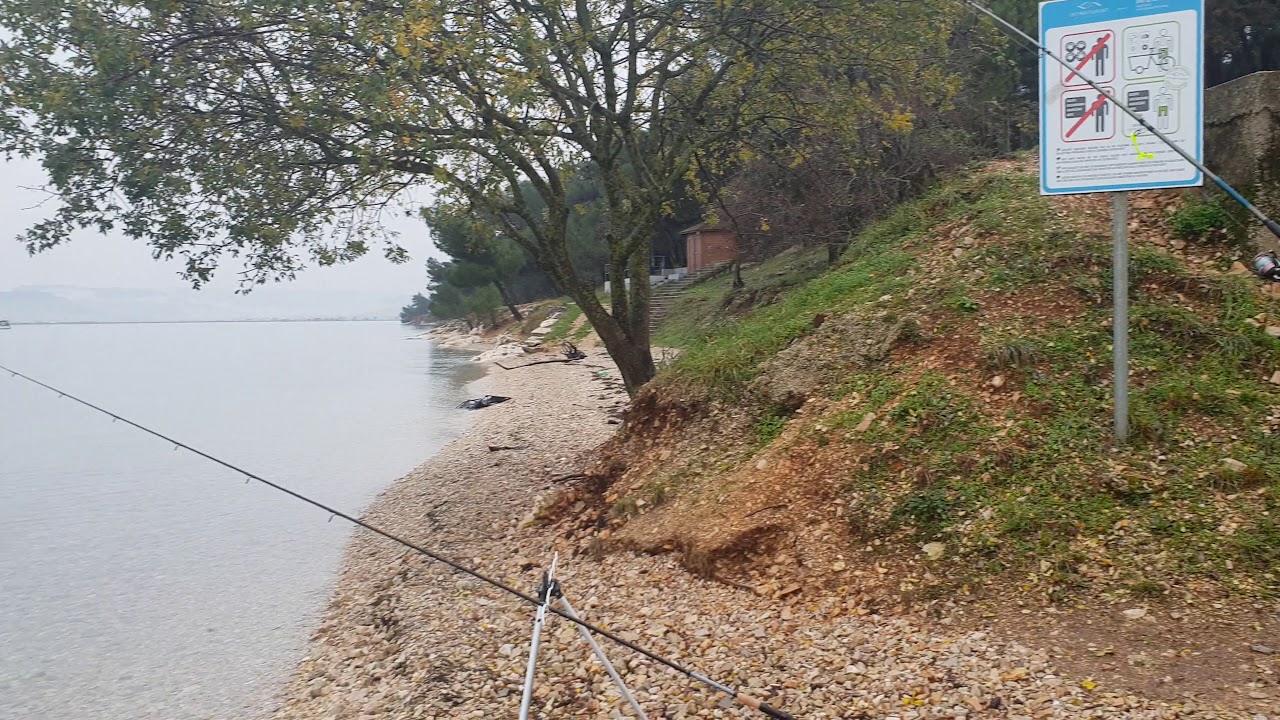 Orada (Komarca) Ribolov sa obale. Profi Ranko😀 - YouTube