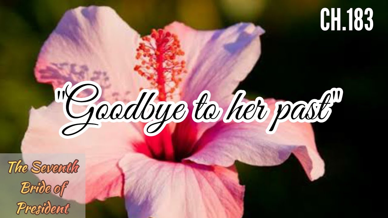 The Seventh Bride of President || Chapter 183 "Goodbye to her past ...