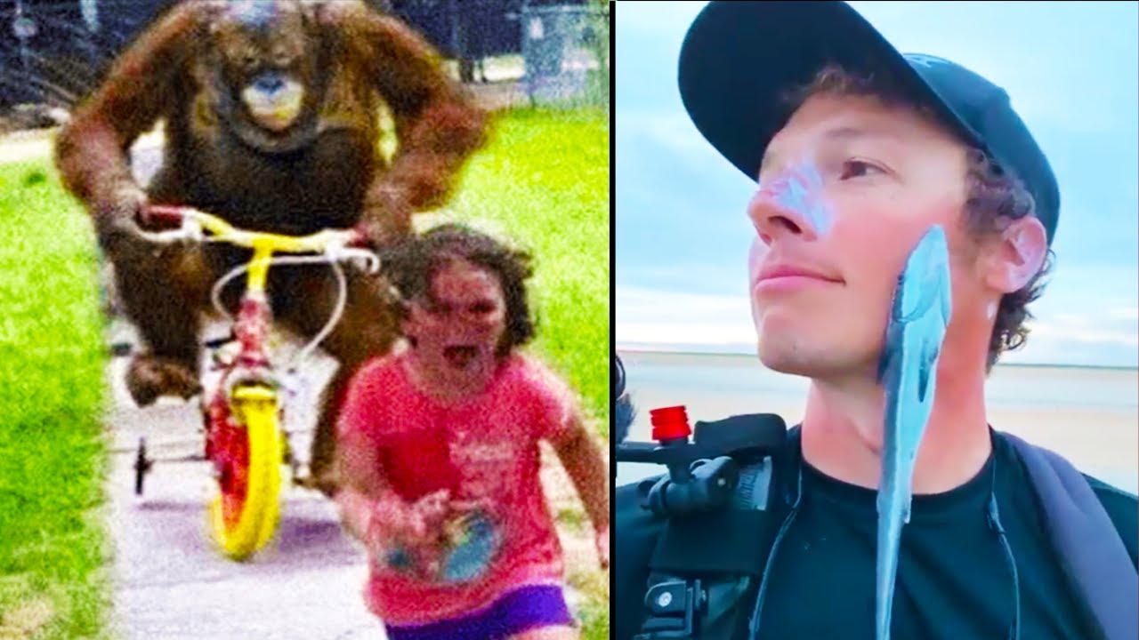 THE BEST CLIPS ON THE INTERNET - YouTube