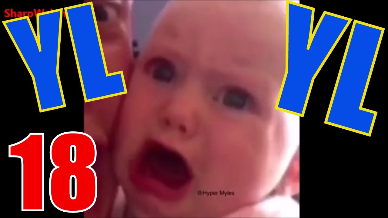 🌟 YLYL - Dank Memes Compilation V18 - YouTube