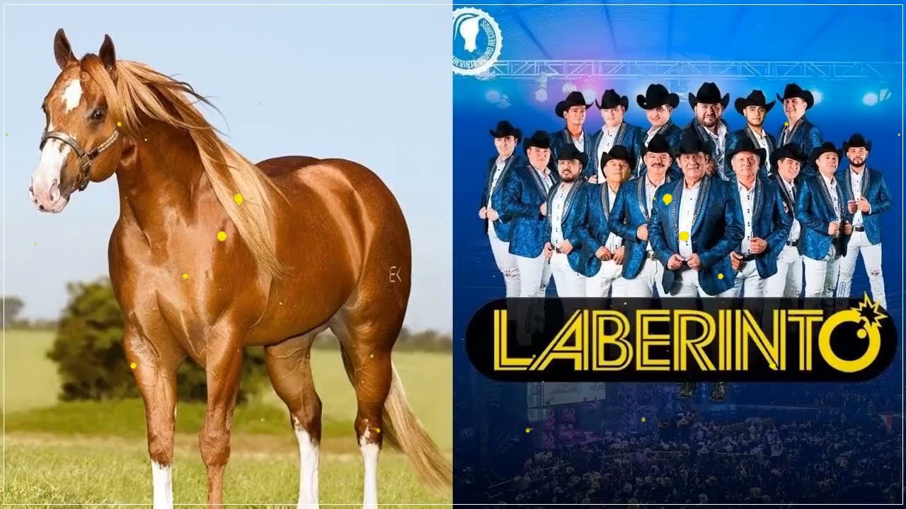 Laberinto Mejores Corridos - Corridos De Laberinto Mix - Grupo ...