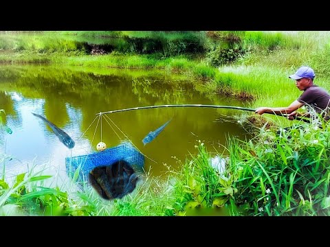 Super strange fishing with a metal net iron like unique - YouTube