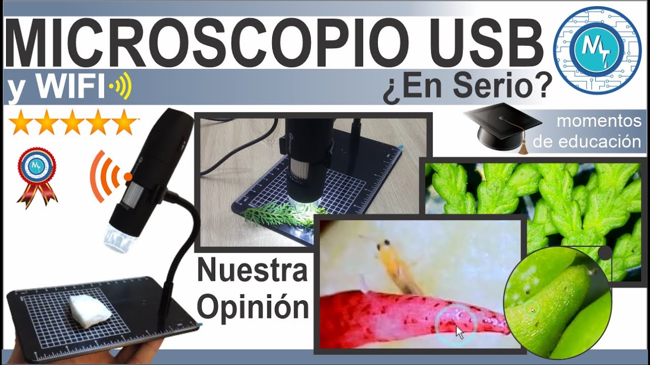 Microscopio Digital TAKMLY 1000x - Pancellent– ¡Enriquece tu ...