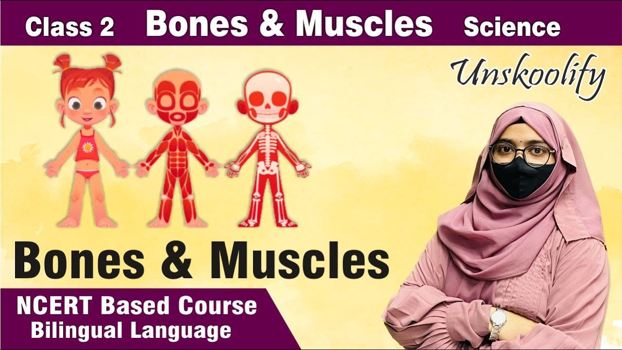 Bones and Muscles | Class 2 | Science for Kids #science #evs #cbse ...