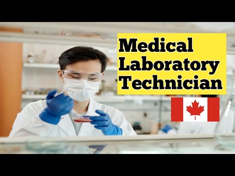 Medical laboratory technician in Canada - salary, wages, career Outlook ...