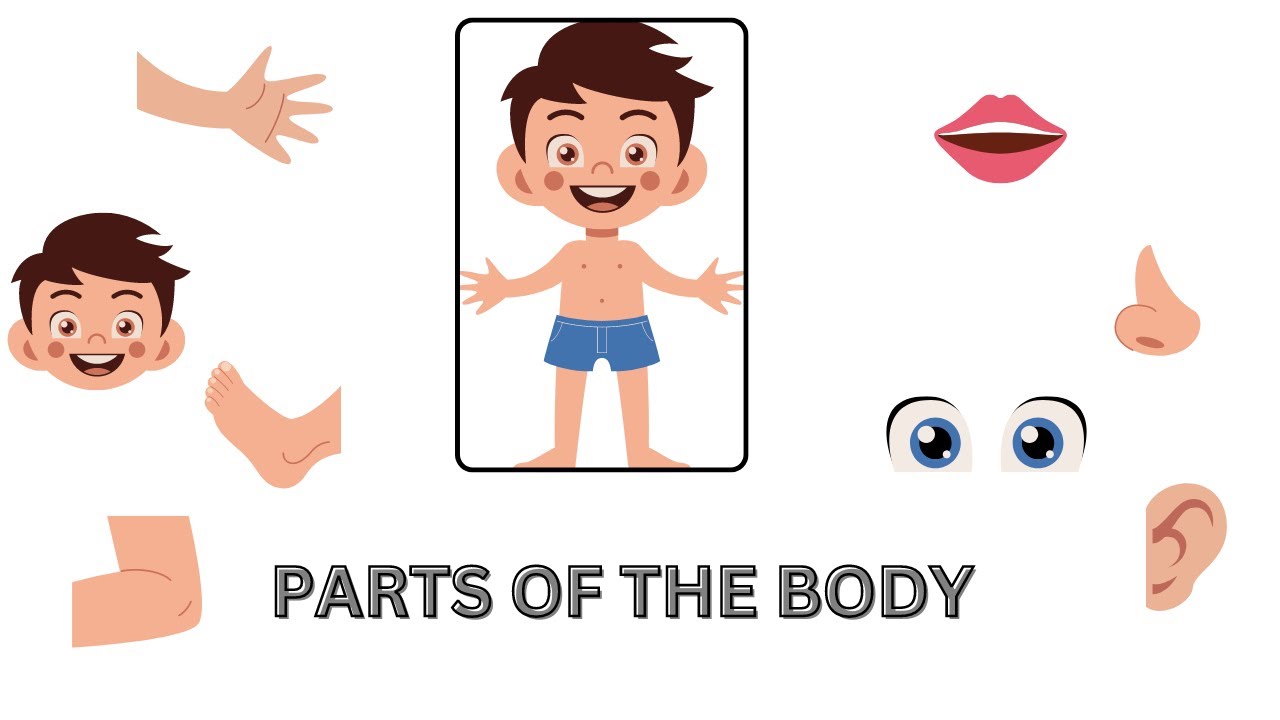 PARTS OF THE BODY// 25 BASIC PARTS OF BODY FOR KIDS - YouTube