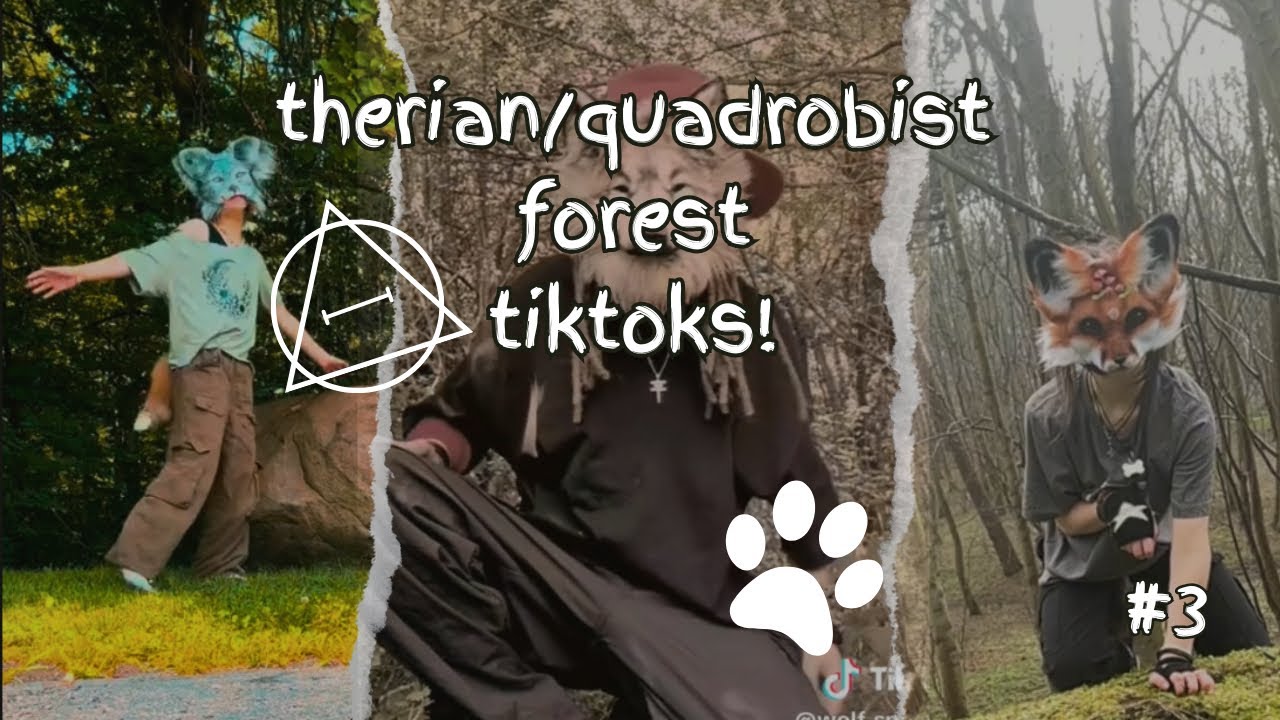 ⭐️THERIAN/QUADROBIST FOREST TT COMP⭐️ #3 - YouTube
