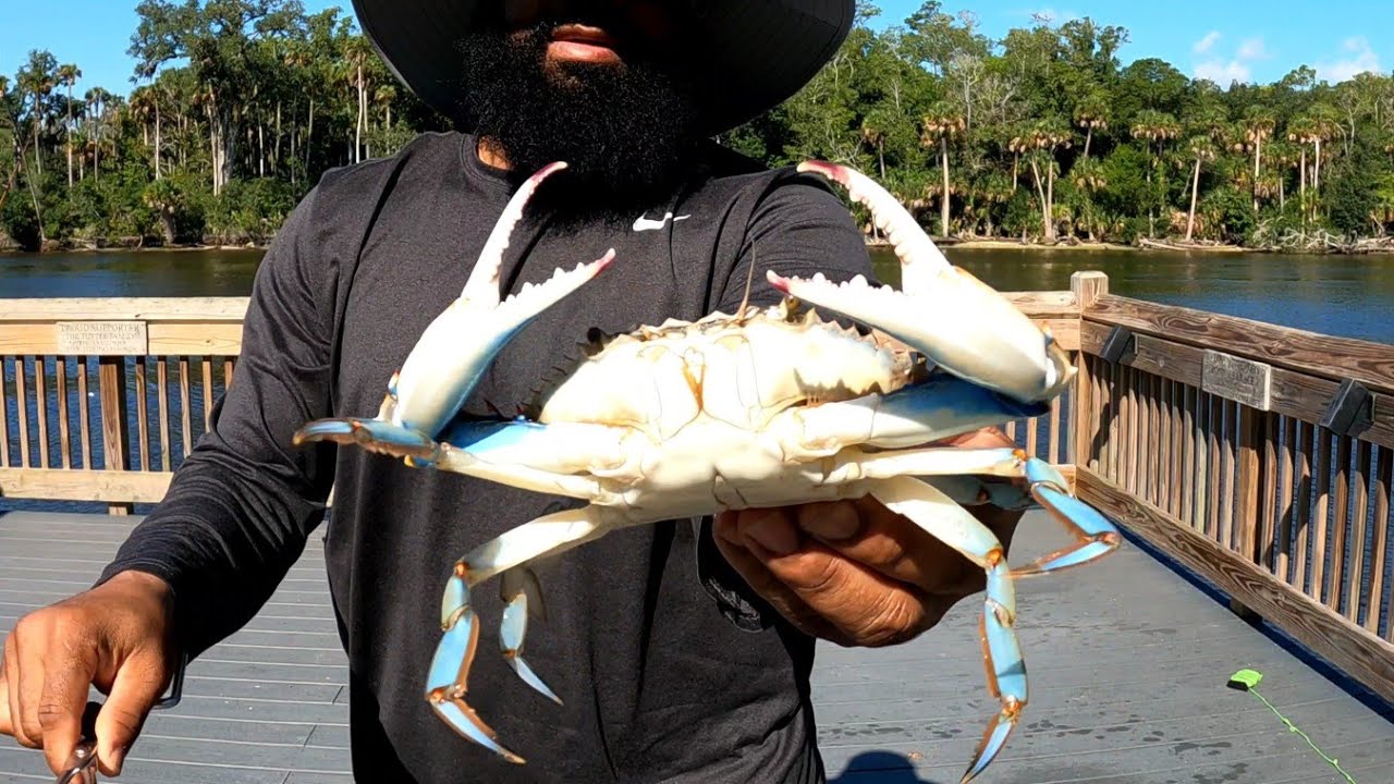 Catching Blue Crabs in Florida!!!! - YouTube