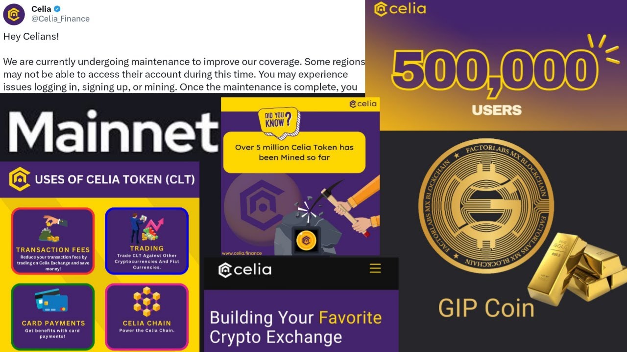 Update 2 Project Potensial Maintenance Celia Finance & GIP COIN, Celia ...