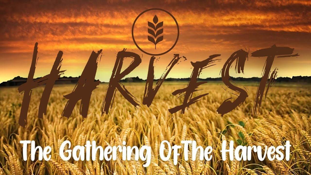 Harvest Sermon Series: Part 4 The gathering of the Harvest - YouTube